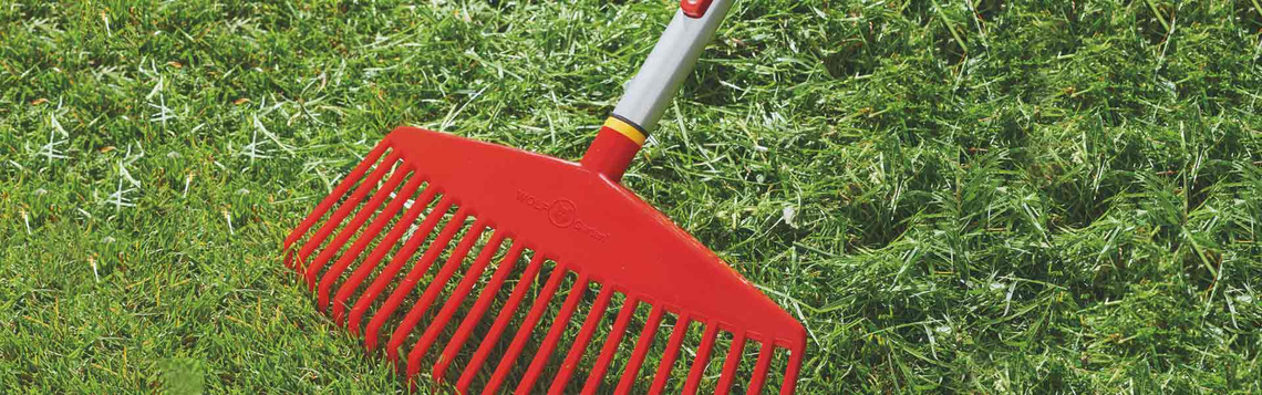 Rasenpflege | WOLF-Garten